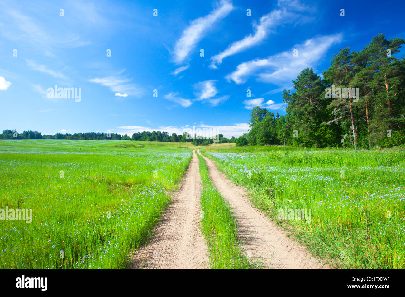 beautiful field and road Stock Photo - Alamy
