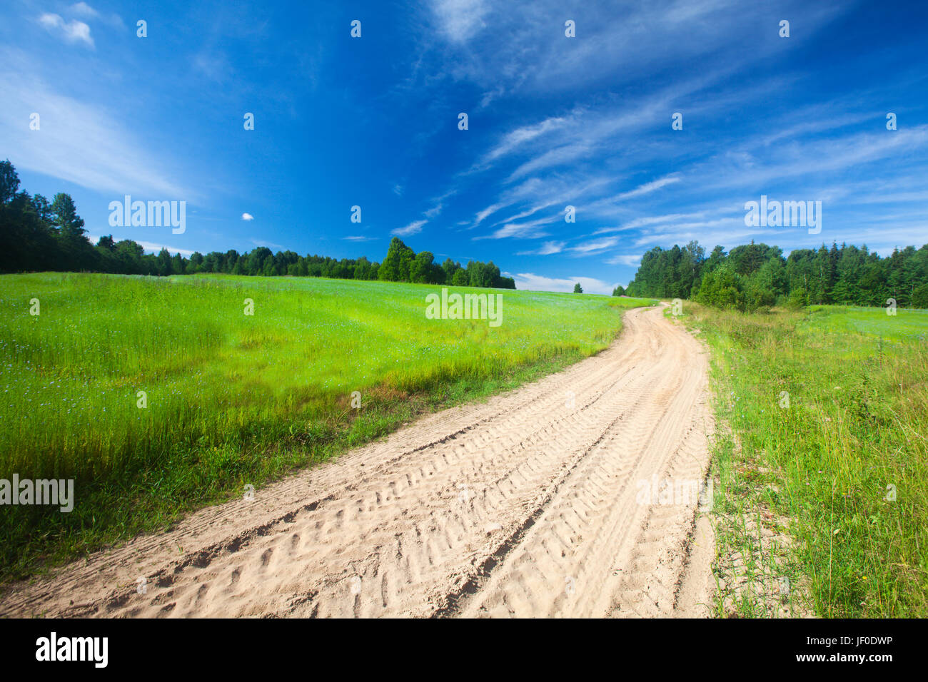 beautiful field and road Stock Photo - Alamy