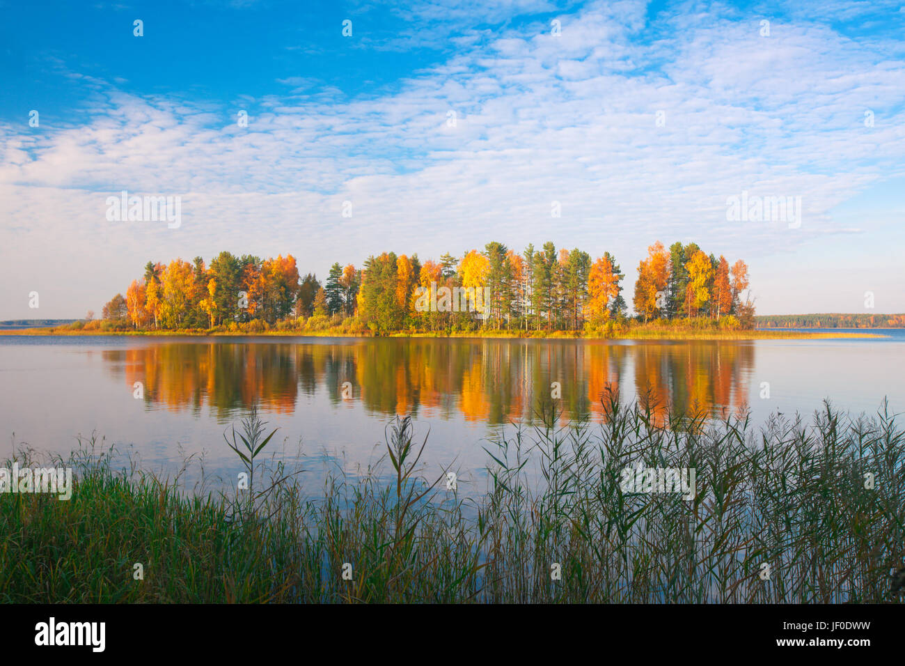 Autumn island and lake Stock Photo - Alamy