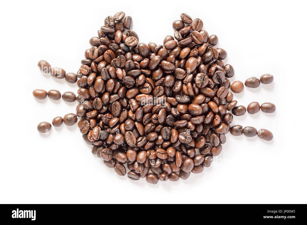 bug coffee beans isolated on white background Stock Photo - Alamy