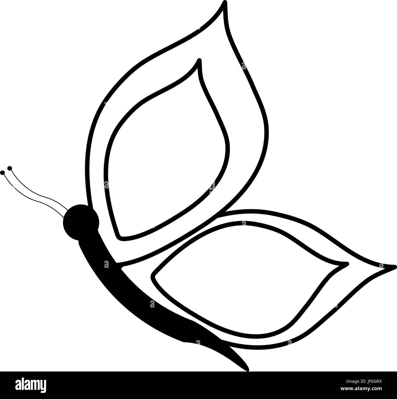 butterfly cartoon icon image Stock Vector Image & Art - Alamy
