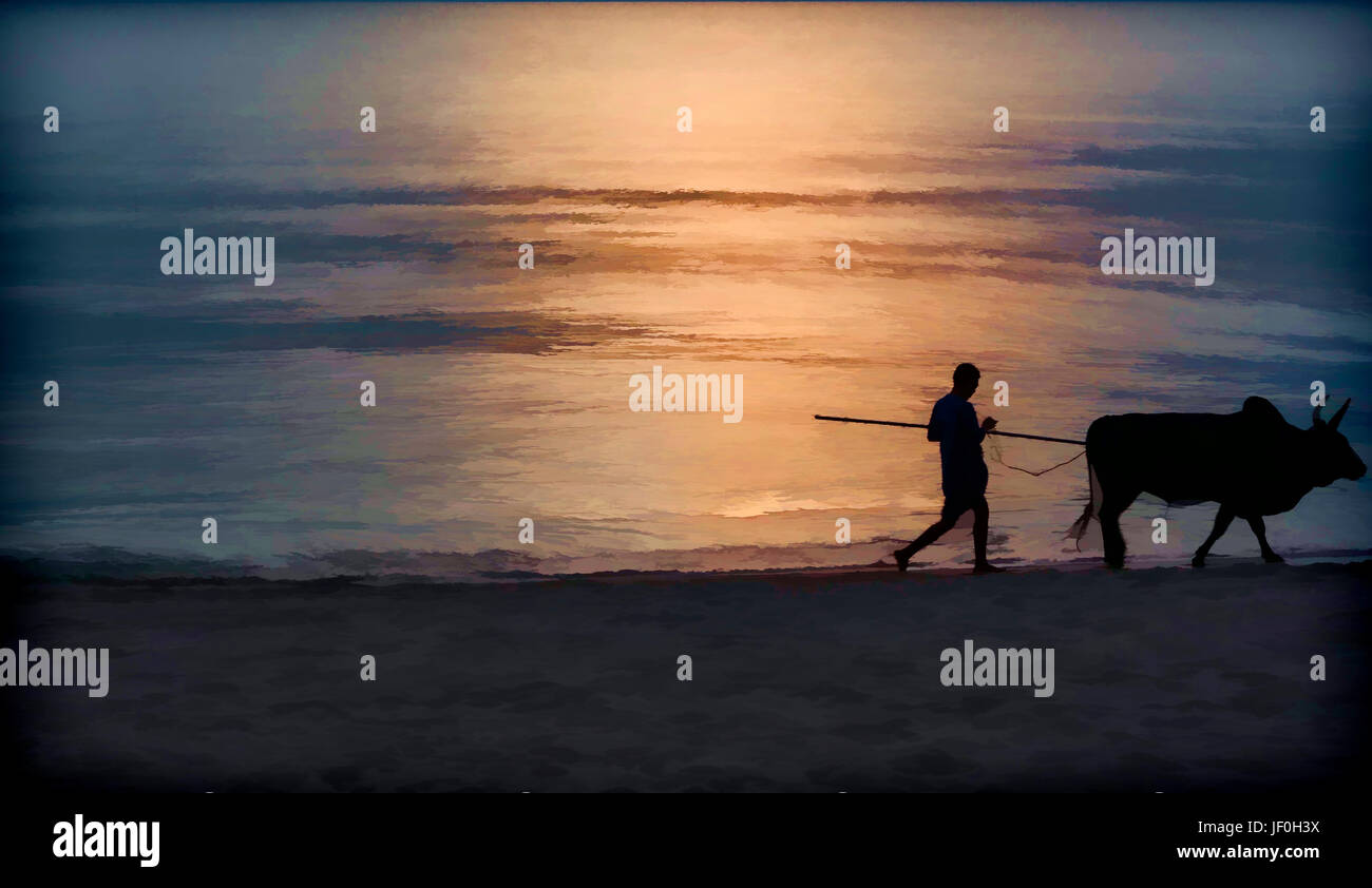 Cowboy Illustration High Resolution Stock Photography and Images - Alamy