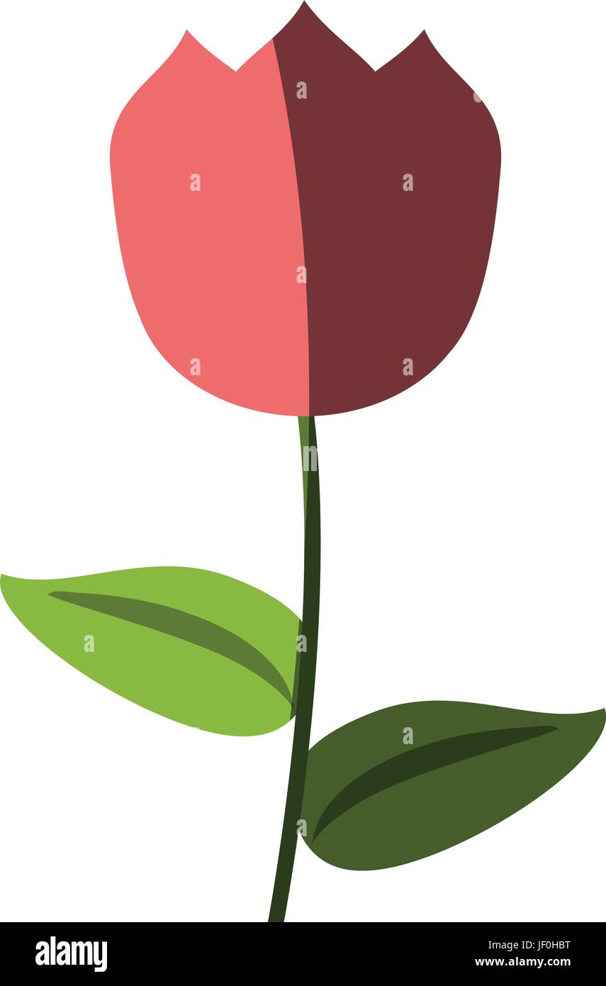 tulip flower icon image Stock Vector Image & Art - Alamy