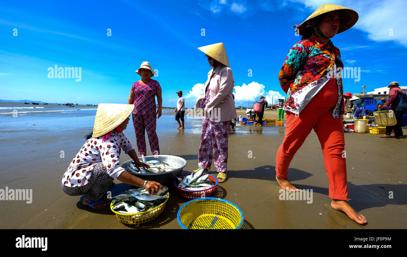 Vietnamese men and women sorting and trading fish on the beach at Long ...