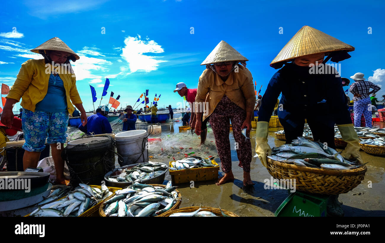 Vietnamese men and women sorting and trading fish on the beach at Long ...