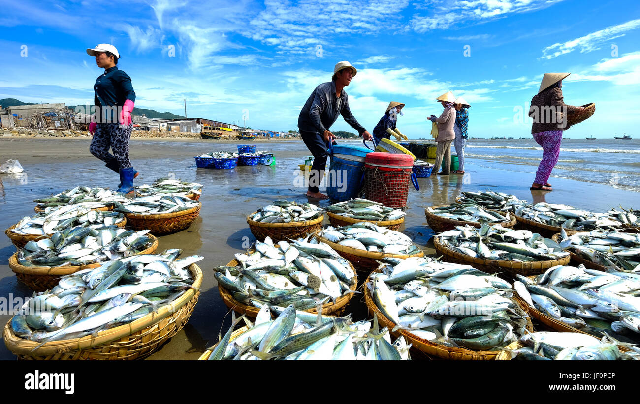Trading fish hi-res stock photography and images - Alamy