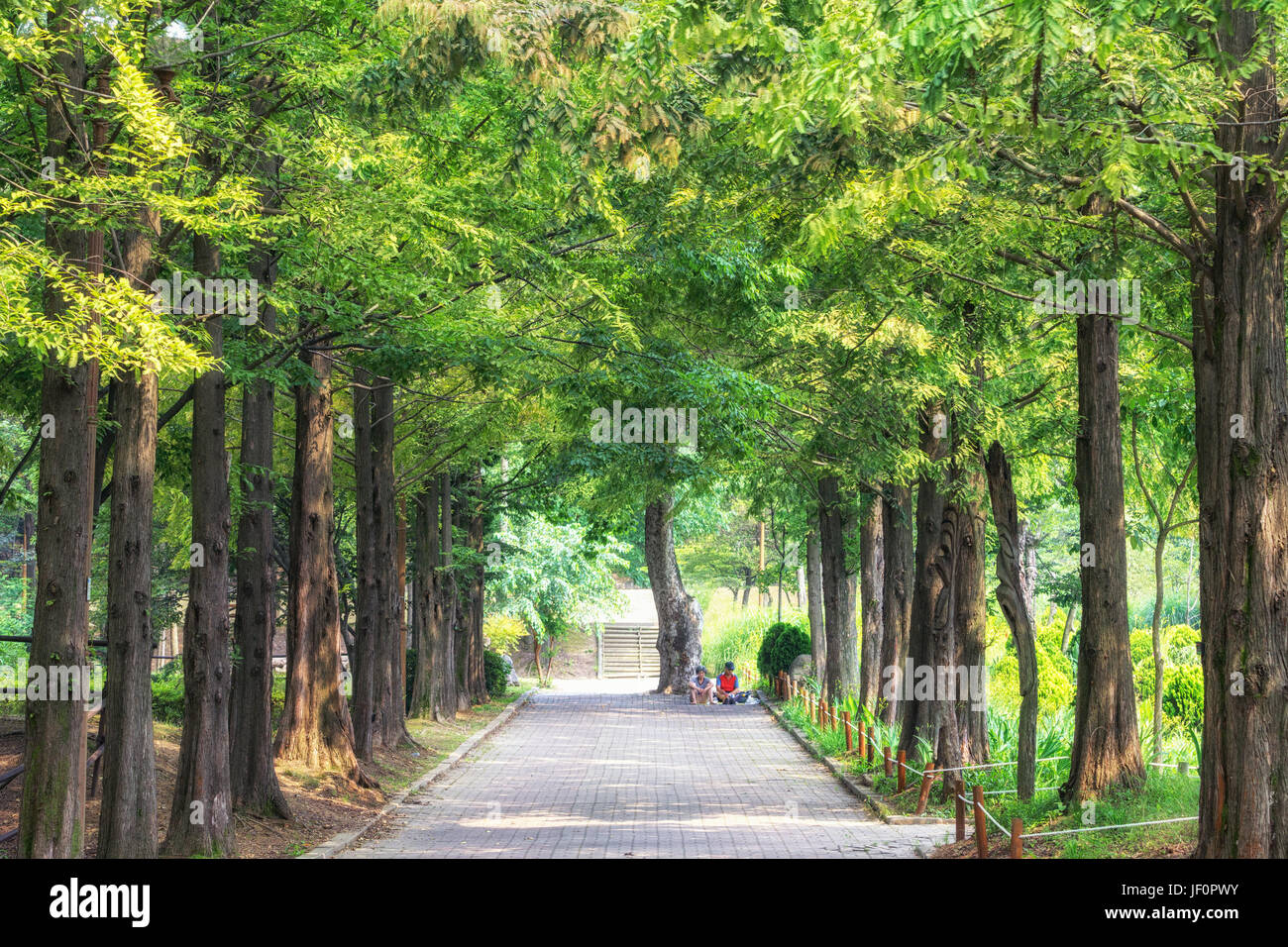 incheon grand park Stock Photo - Alamy