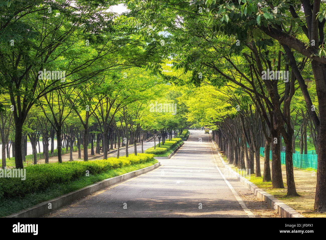 Incheon forest hi-res stock photography and images - Alamy