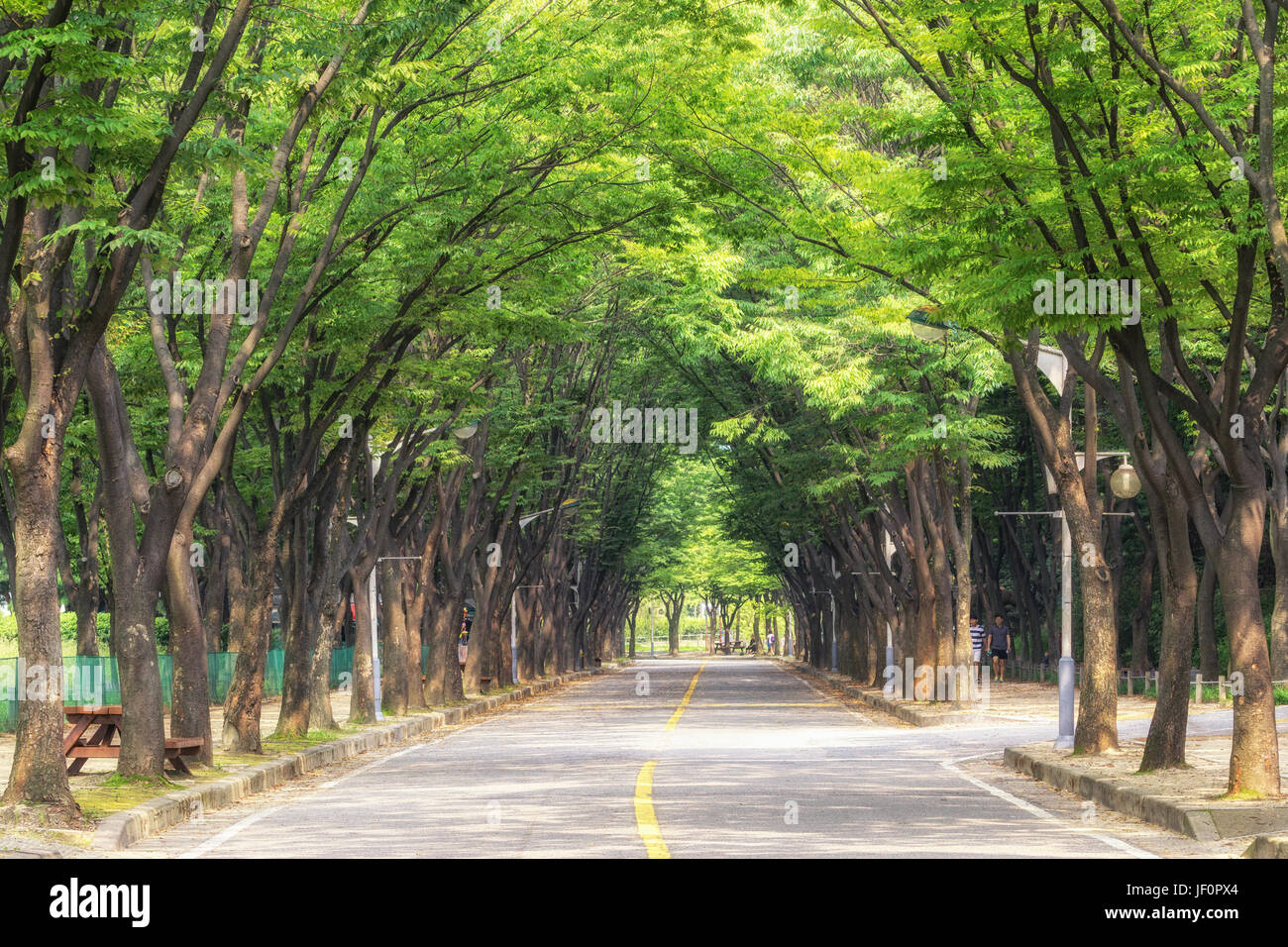 Incheon street view hi-res stock photography and images - Alamy