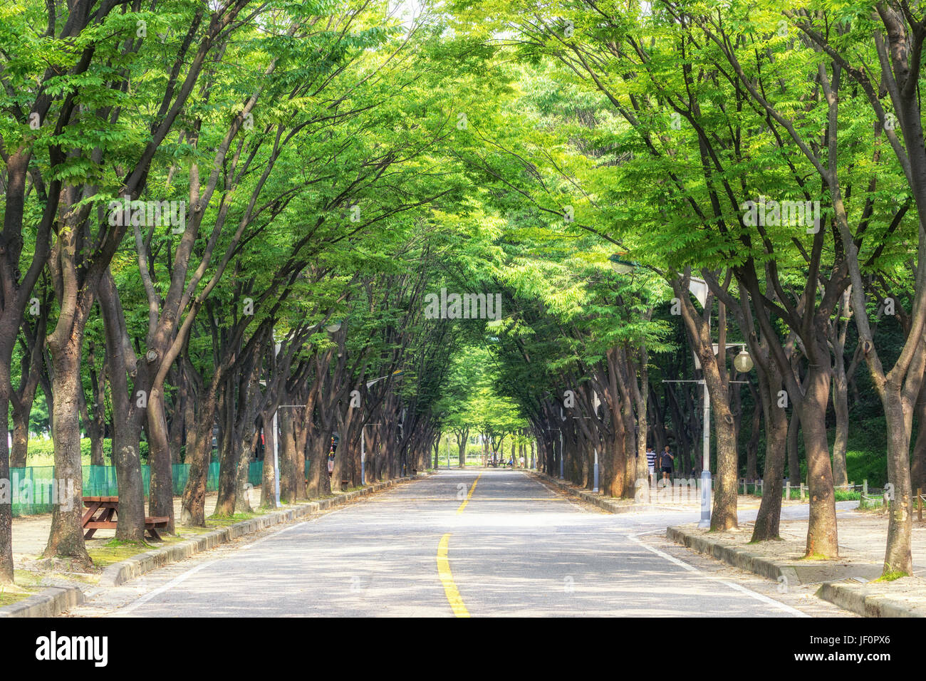 incheon grand park Stock Photo - Alamy