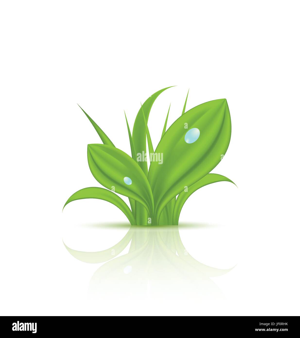 Drop vegetation Stock Vector Images - Alamy