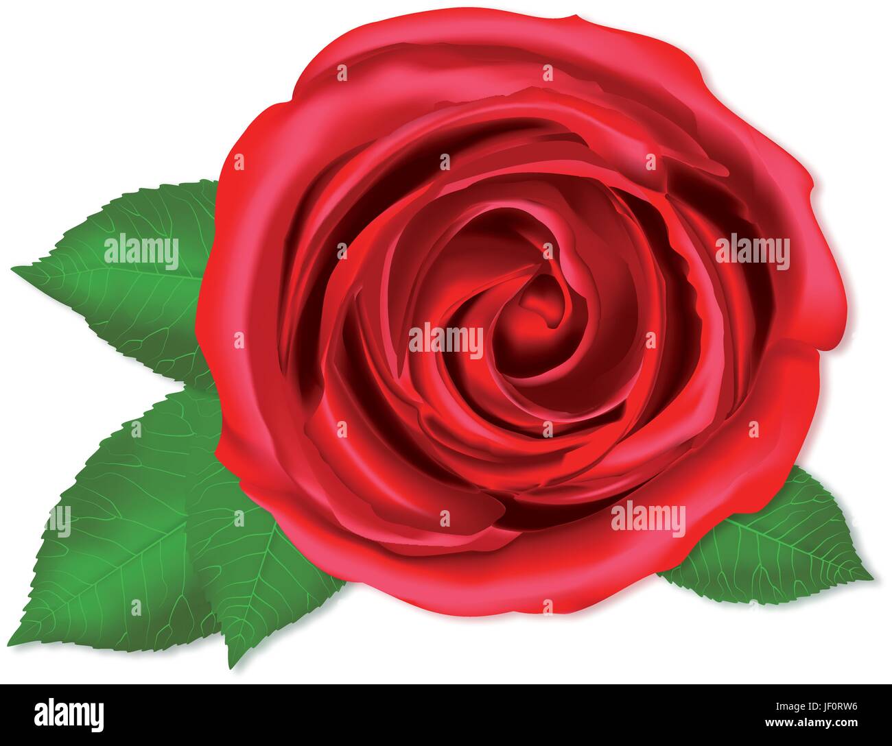 Rote flora Stock Vector Images - Alamy
