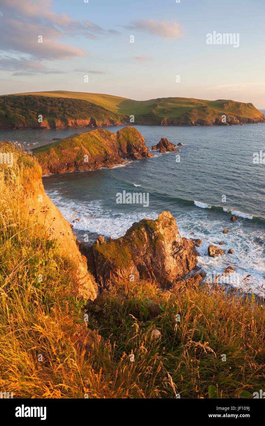 Golden cove devon hi-res stock photography and images - Alamy