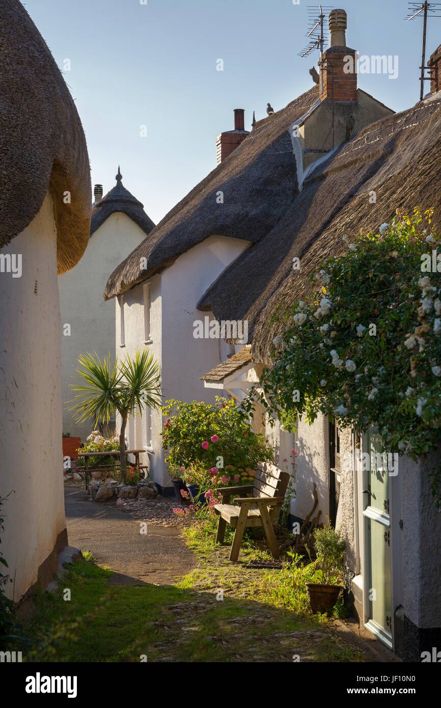 Thatched cottages at Inner Hope, Hope Cove, Devon, England Stock Photo ...