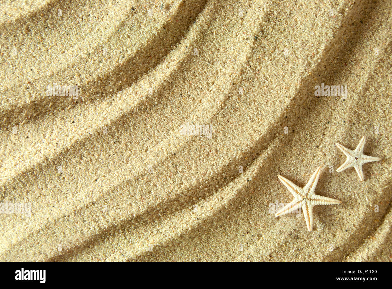 Close up of a starfish shells on beach sand background Stock Photo - Alamy