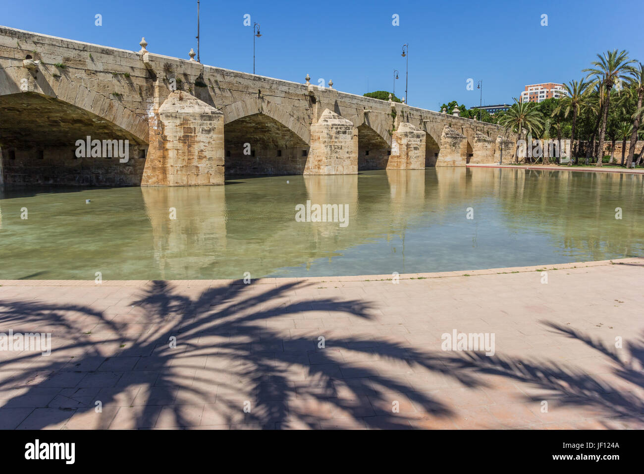 Historic Puente Del Mar bridge in a pond in Valencia, Spain Stock Photo ...