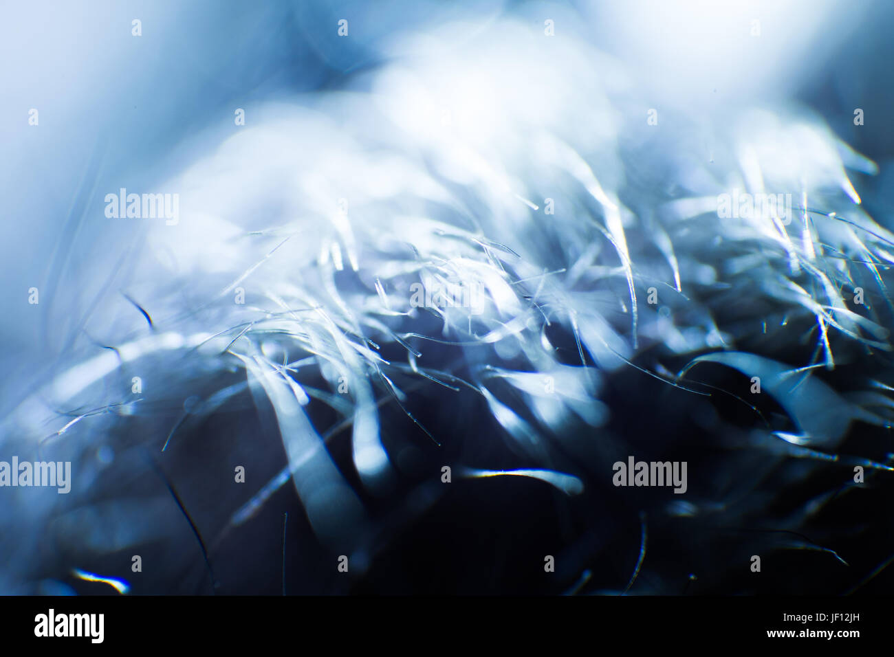 Goat hair texture hi-res stock photography and images - Alamy