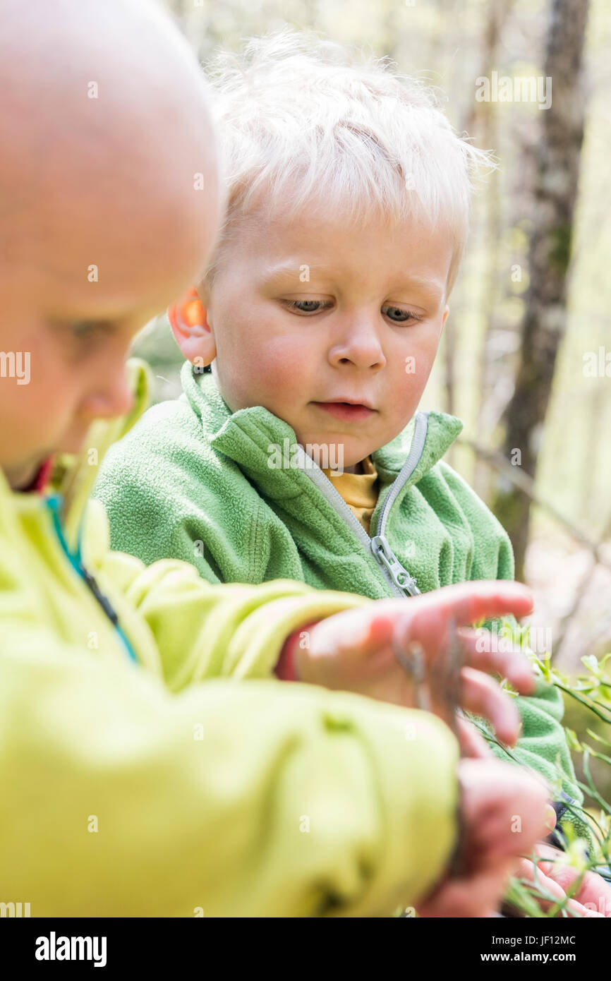 Brother playing together Stock Photo - Alamy
