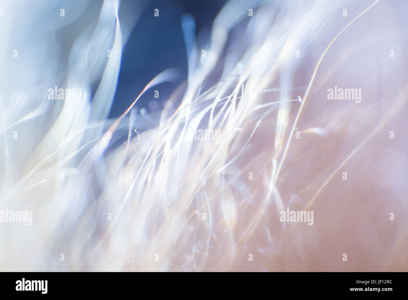 Goat hair texture hi-res stock photography and images - Alamy