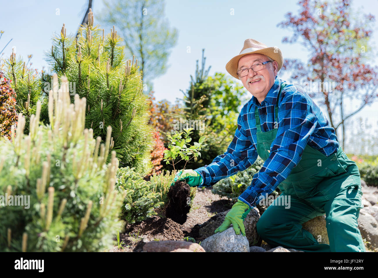 Senior gardener digging in a garden. Preparing soil for a new plant ...