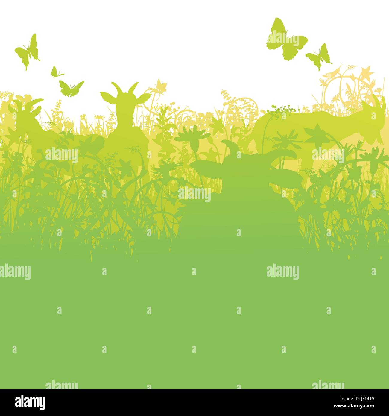 Wild flower meadow] Stock Vector Images - Alamy