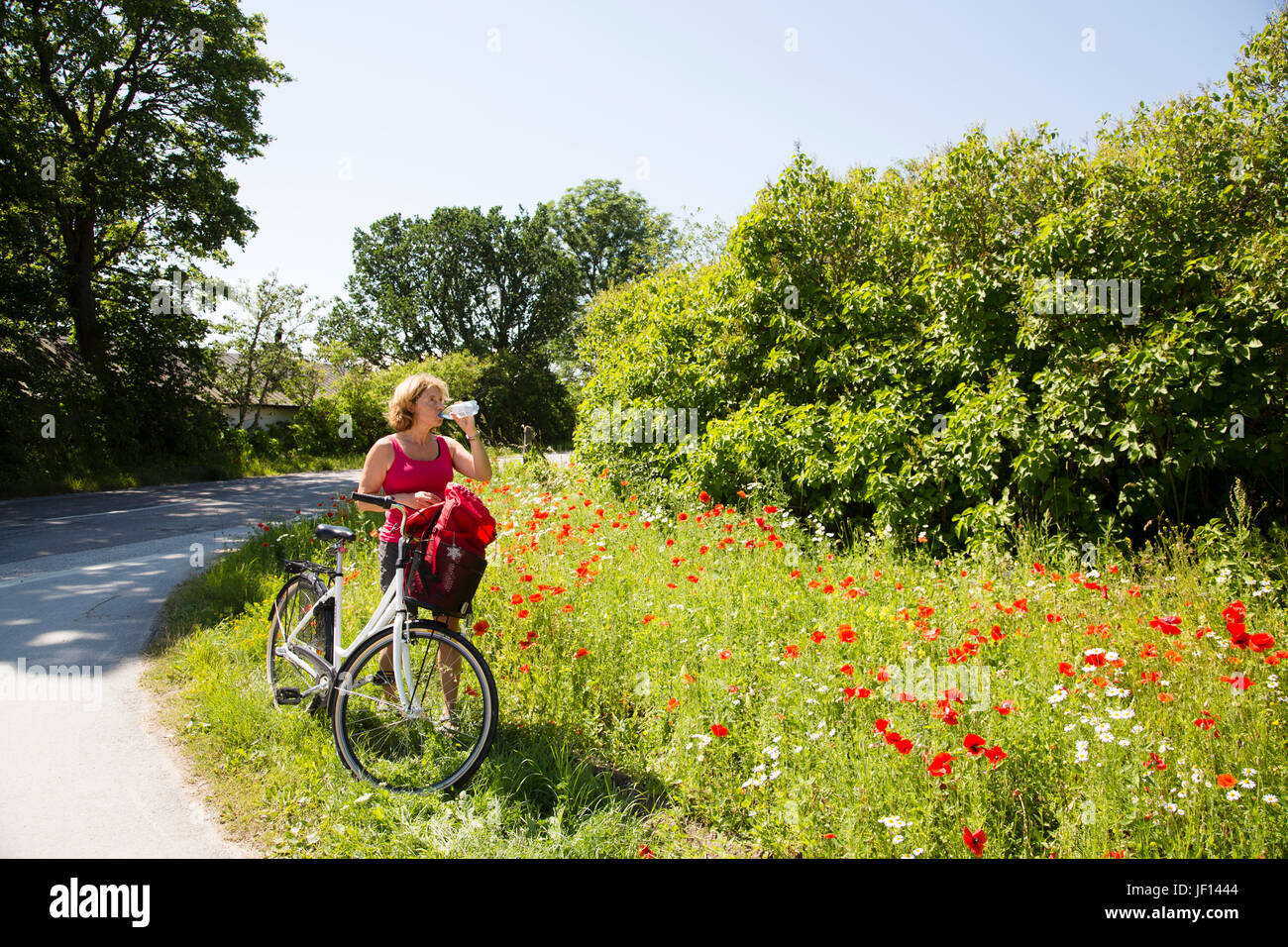 Roadside activities hi-res stock photography and images - Alamy