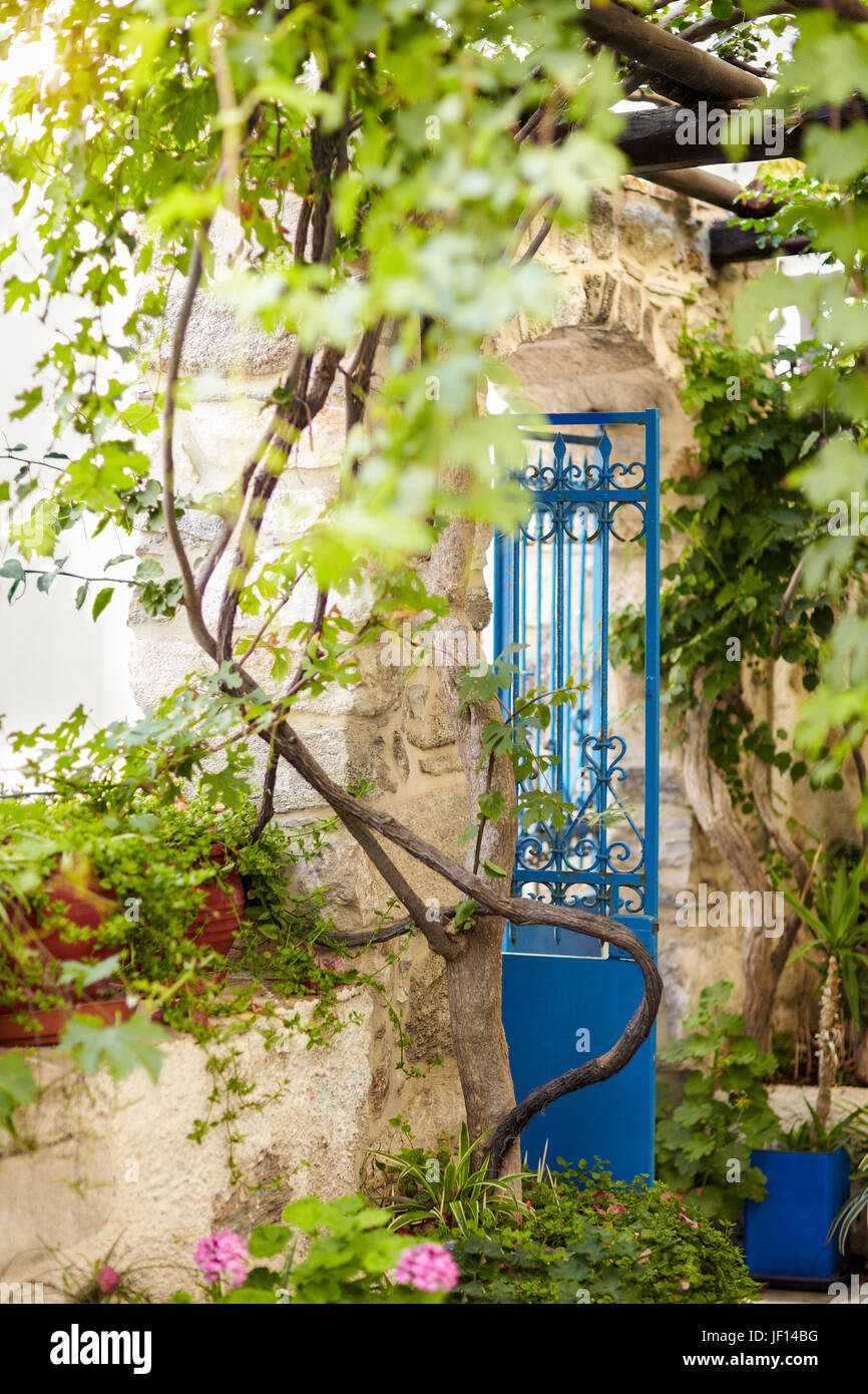 Open blue gate Stock Photo - Alamy