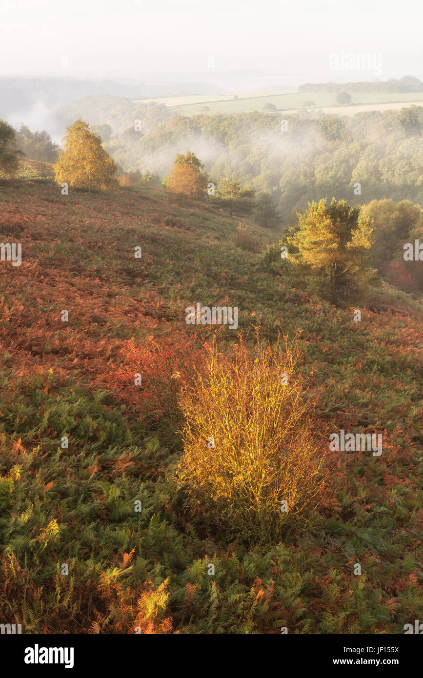 Great dalby hi-res stock photography and images - Alamy