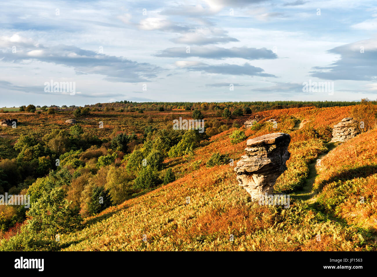 Great Dalby Stock Photos & Great Dalby Stock Images - Alamy