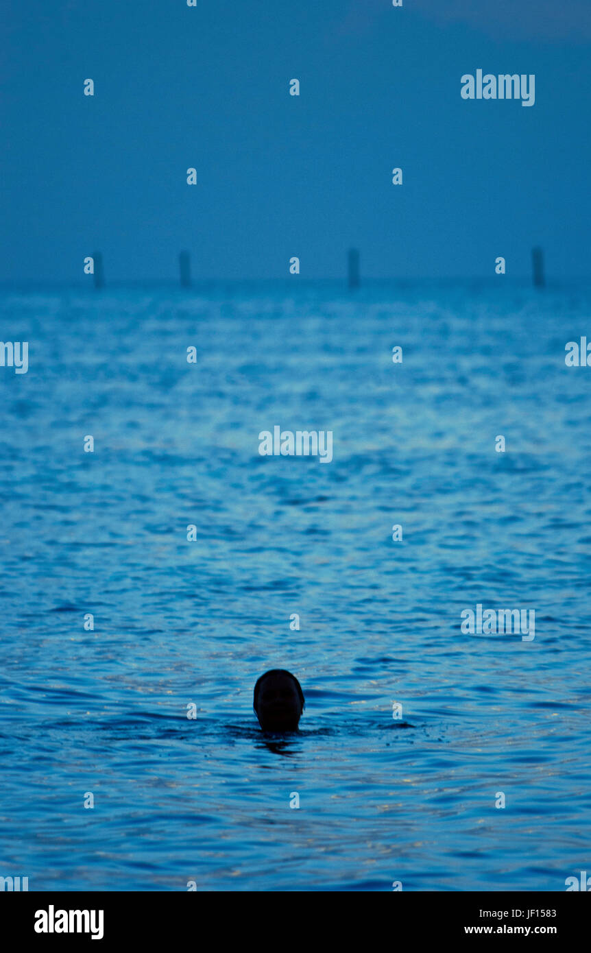 Head of a swimming person seen above water Stock Photo - Alamy