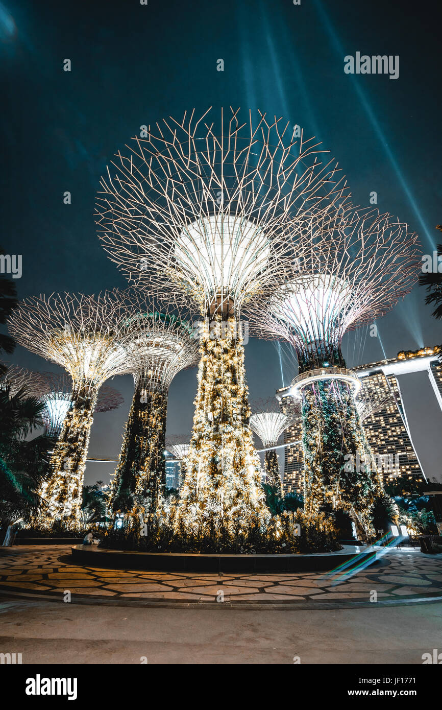 SINGAPORE: Supertree Grove at night. MIND-BLOWING images show what ...