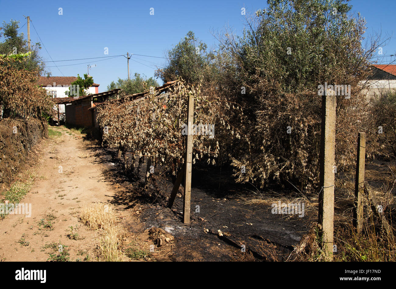Burnt crops hi-res stock photography and images - Alamy