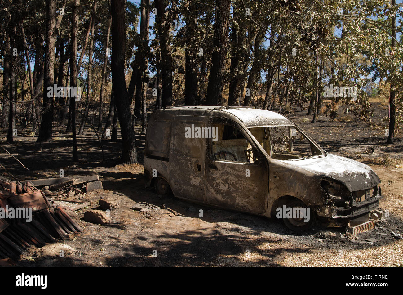 Small van burnt to the ground next to also burnt forest trees at a ...