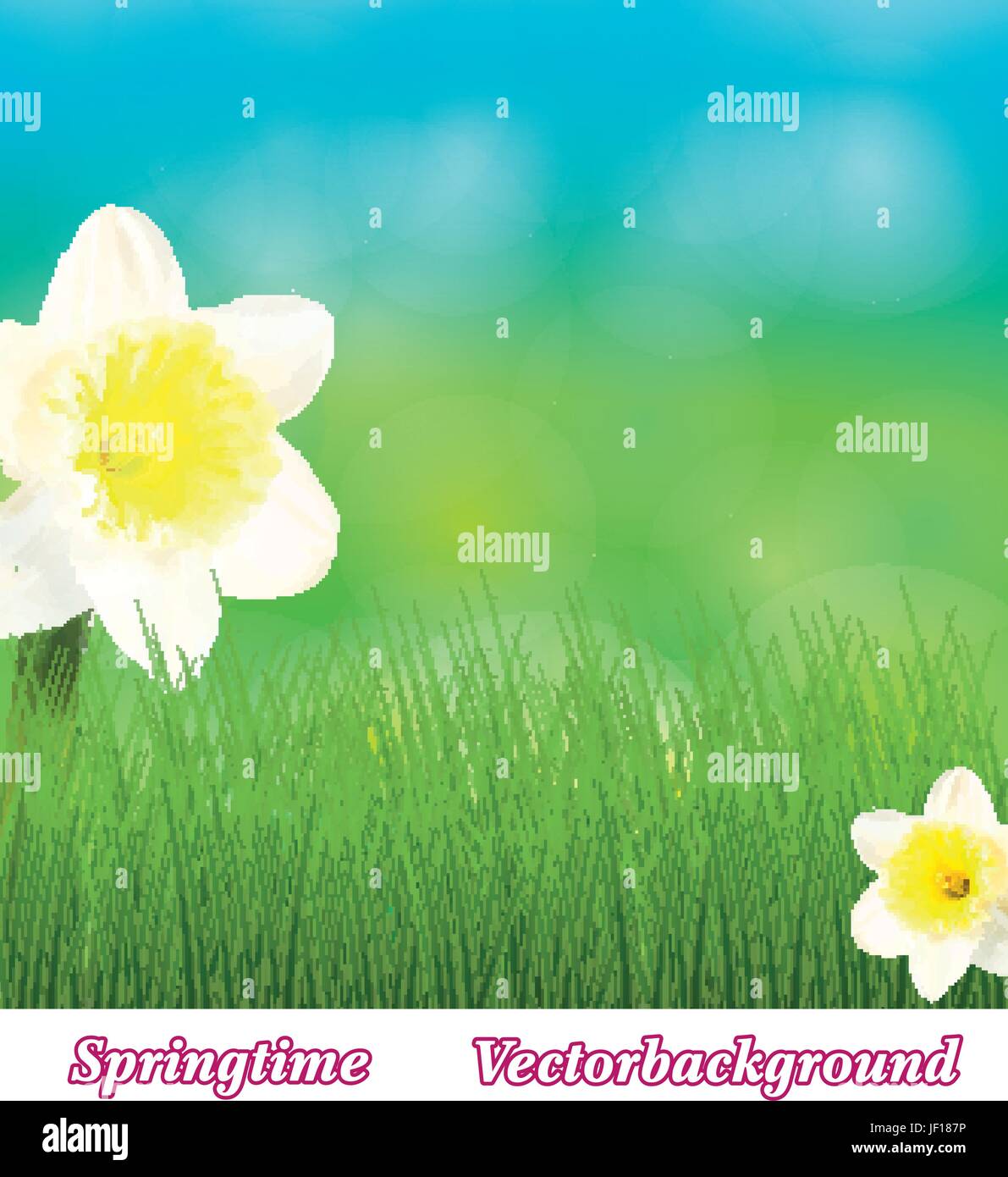 season, seasonable, backdrop, background, shine, shines, bright, lucent ...