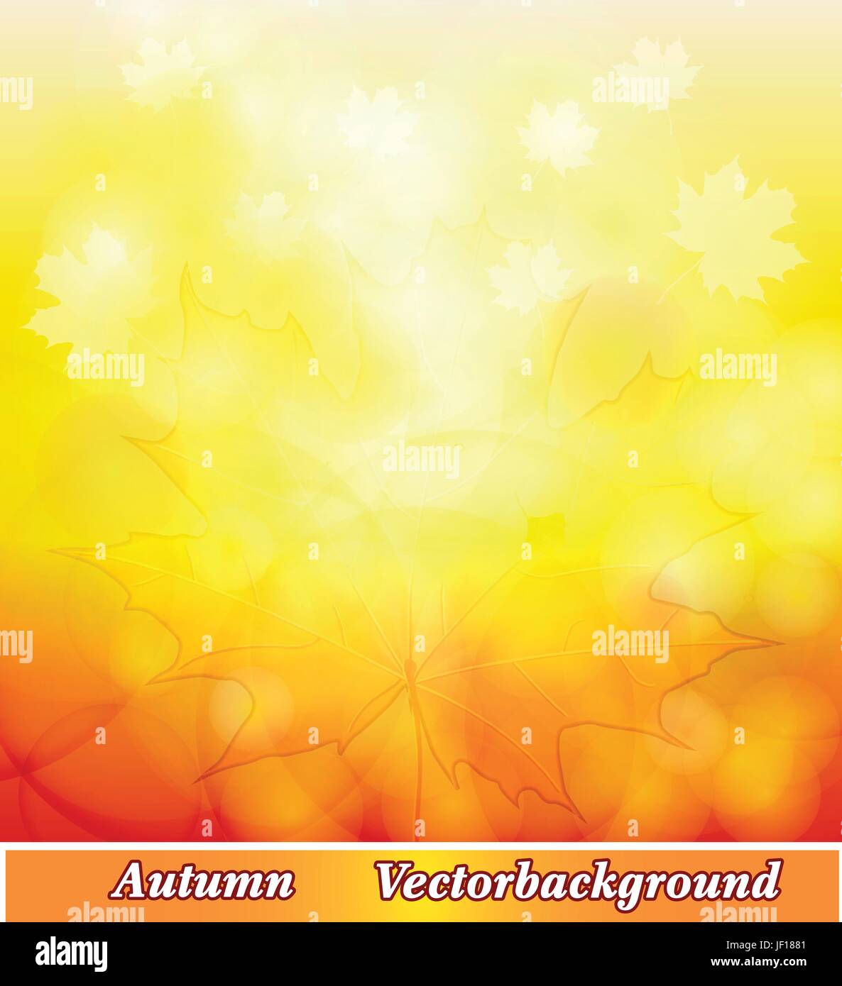 Maple autumn blaze Stock Vector Images - Alamy