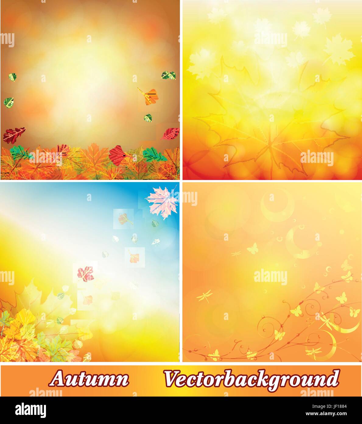 card, season, seasonable, backdrop, background, shine, shines, bright ...