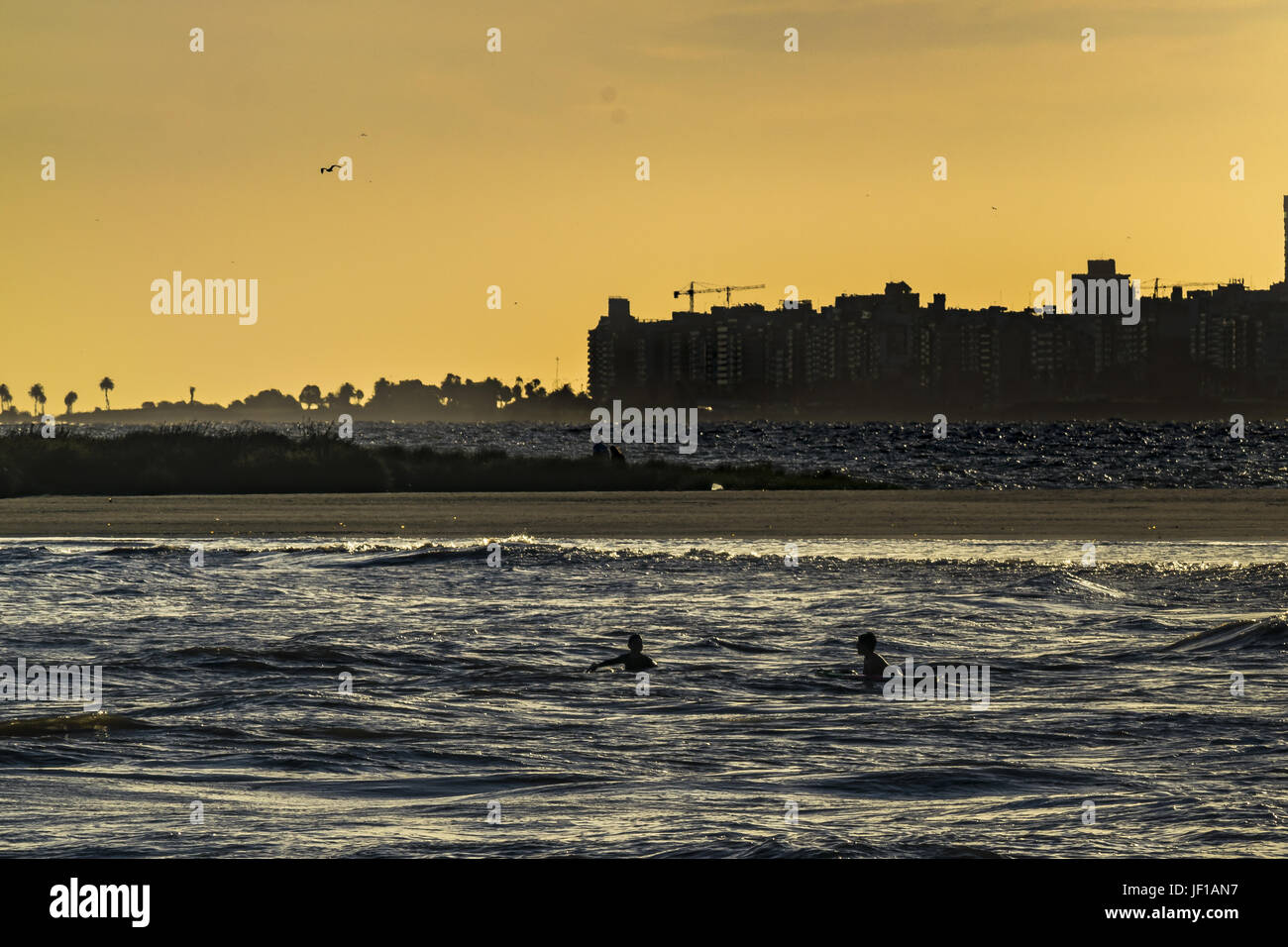 Montevideo Skyline and Beach Stock Photo - Alamy