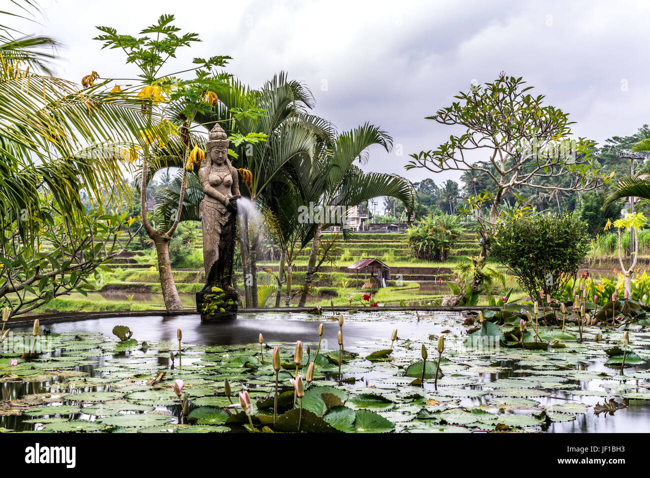 Water flowing from a water fountain statue in a pond full of water ...