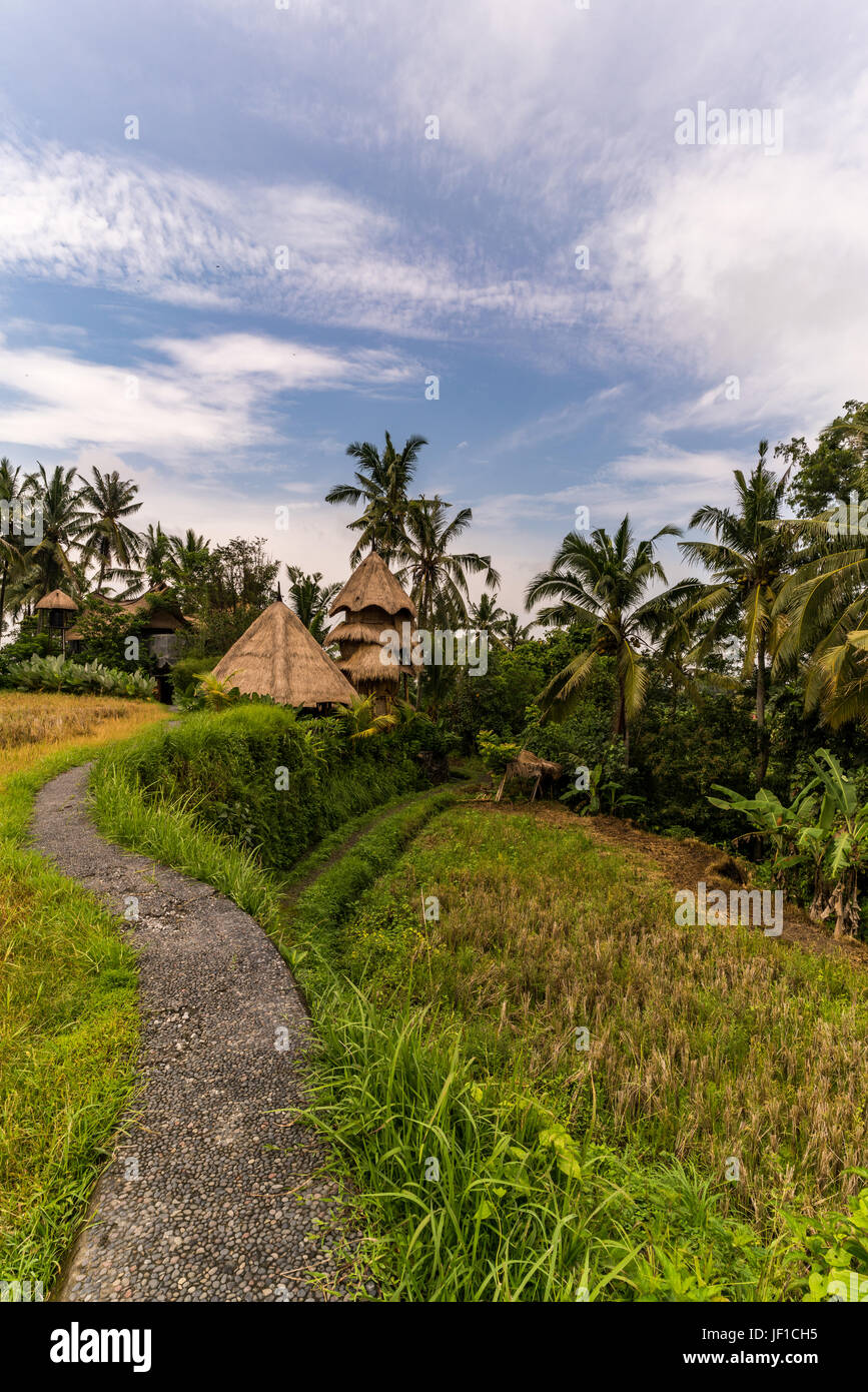 Narrow path leads to house hi-res stock photography and images - Alamy