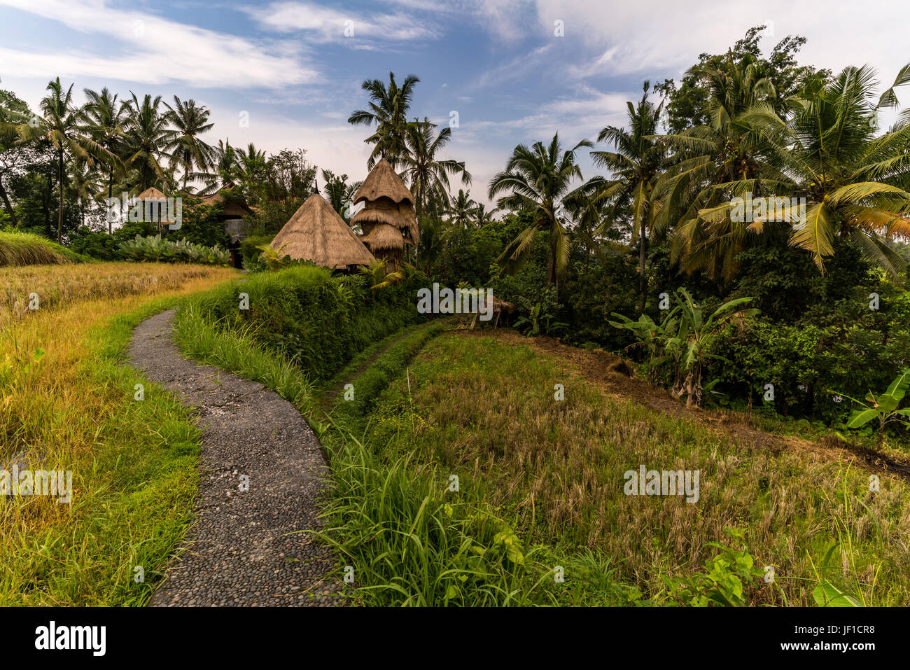 A long narrow path in the beautiful Ubud countryside leads up to a ...