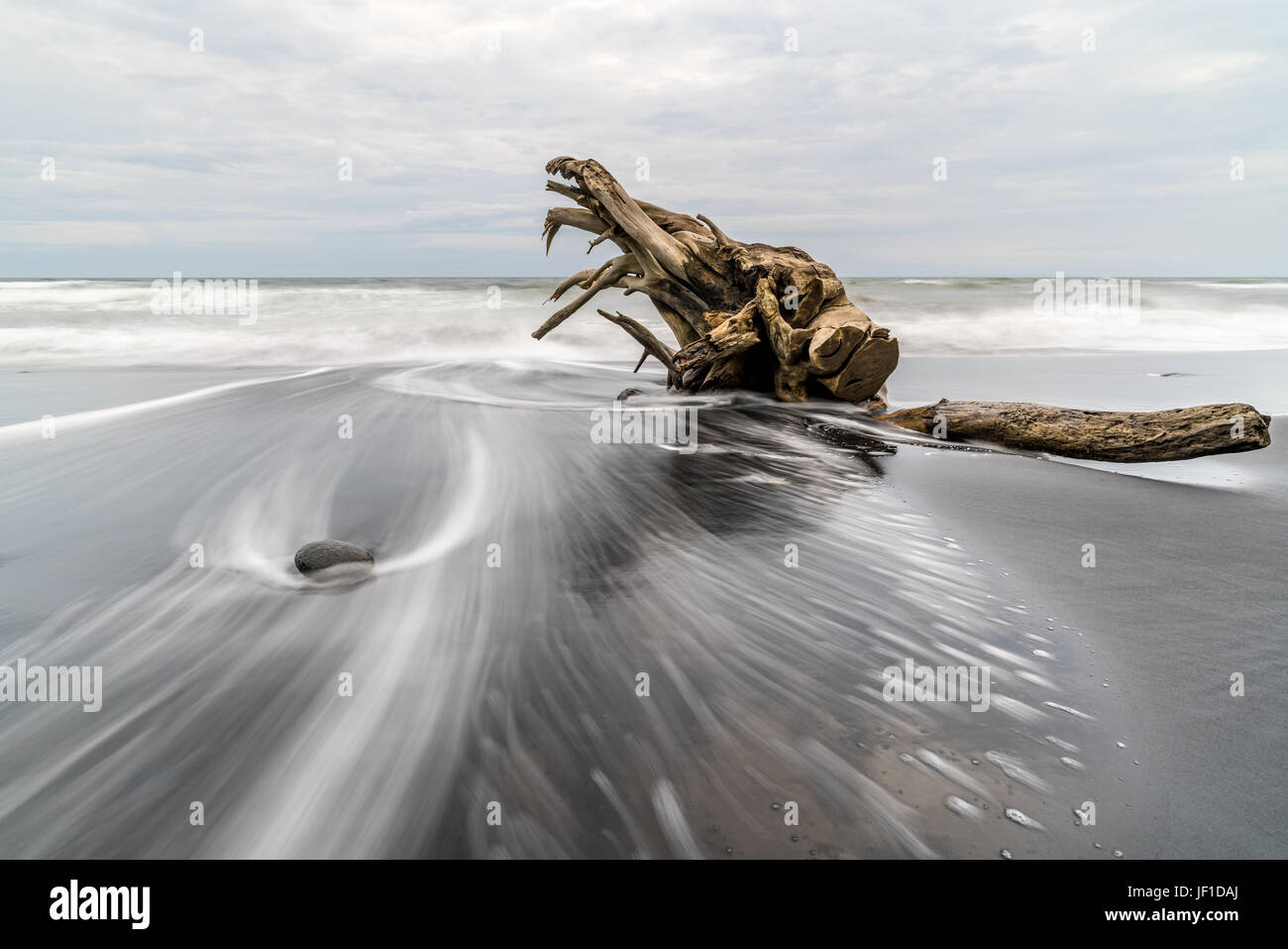Driftwood log on a breathtaking Bali beach and the incredible effect of ...