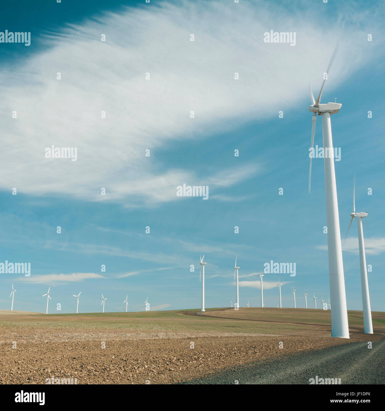Wind turbines, tall white towers in the flat plains by a road near the ...