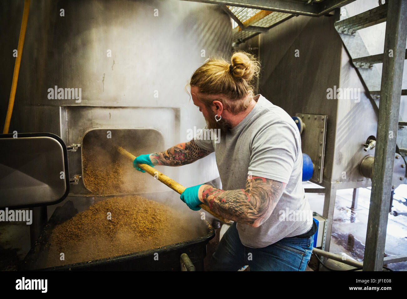 Man scraping spent grain from a large kettle in a brewery Stock Photo ...
