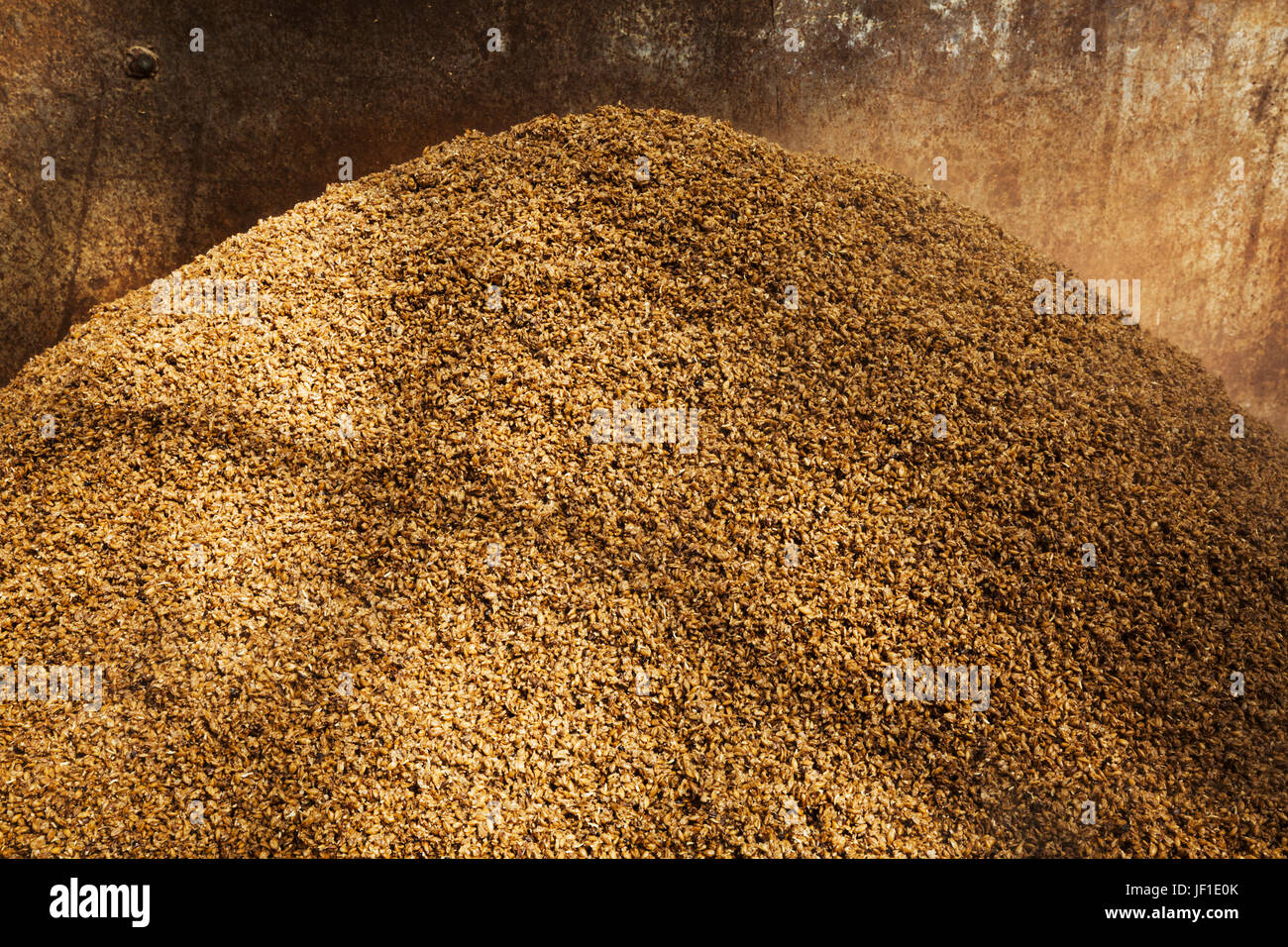 Close up of a heap of spent grain used in the brewing process Stock ...