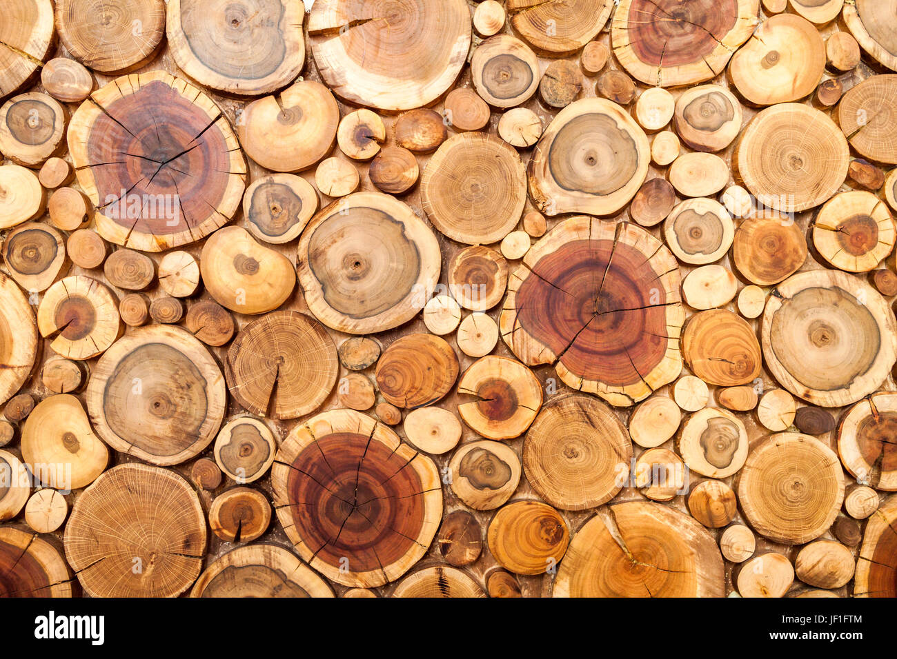 Round wooden stumps background,Trees cut section for background texture ...