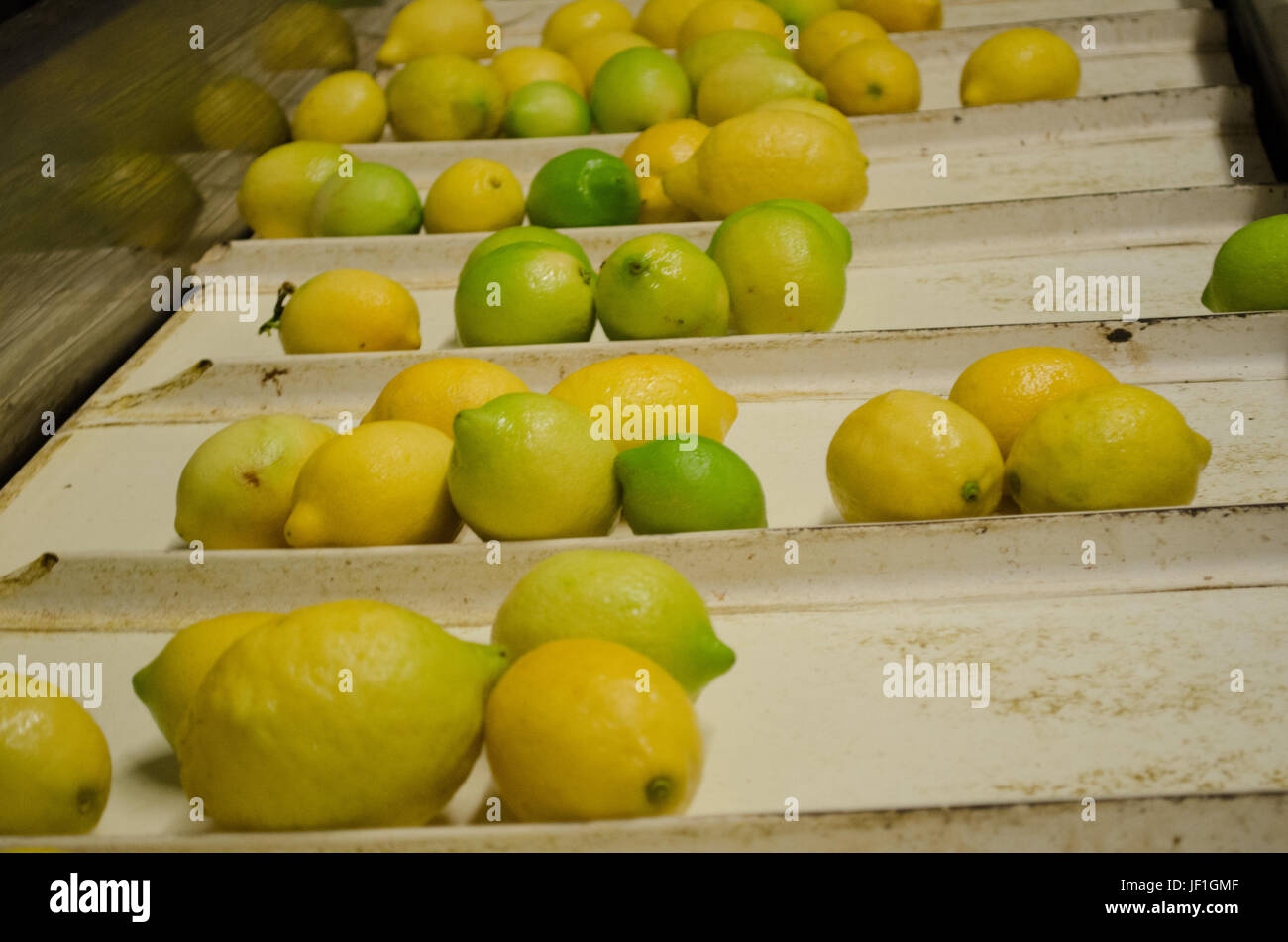 Processing shed hi-res stock photography and images - Alamy