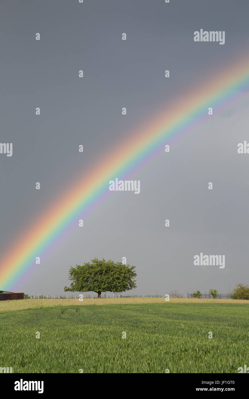 Green rainbow hi-res stock photography and images - Alamy