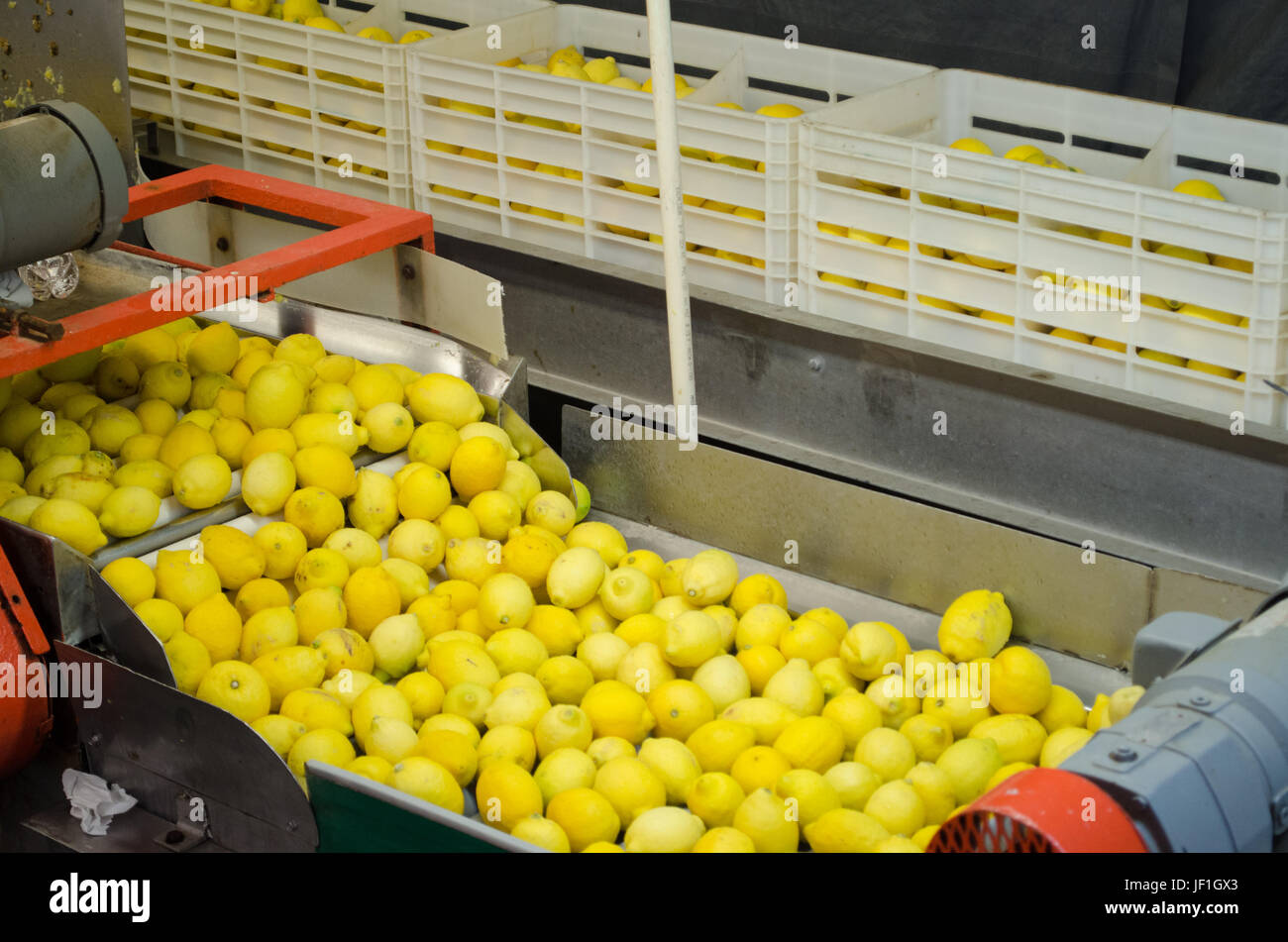 Processing shed hi-res stock photography and images - Alamy