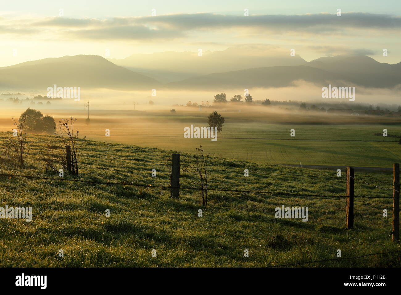 fields at morning Stock Photo - Alamy
