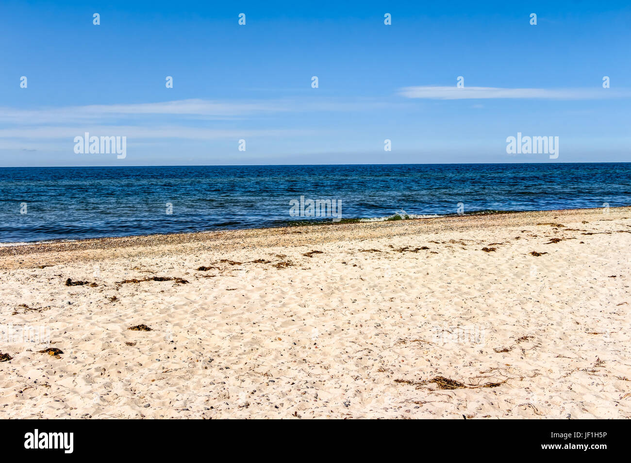 Beach coastline of the Baltic Sea in summer Stock Photo - Alamy